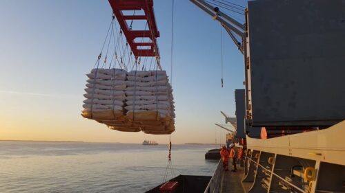 Paraguay Exports: Opening New Markets in 2024