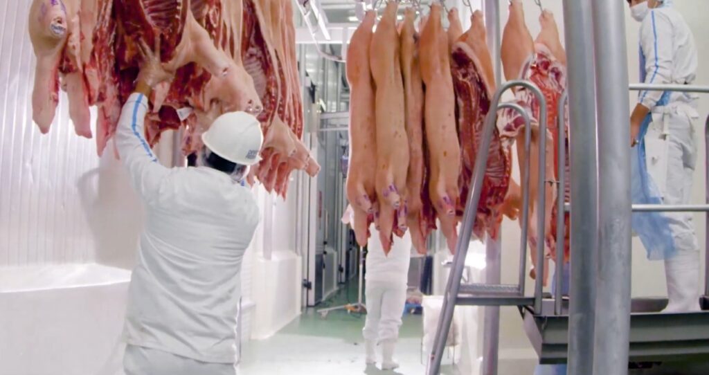 Taiwan Approves Paraguayan Meat Processing Plants For Pork And Beef Exports