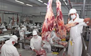 Paraguay's Beef Exports Surge To Over US$1 Billion In Remarkable First ...