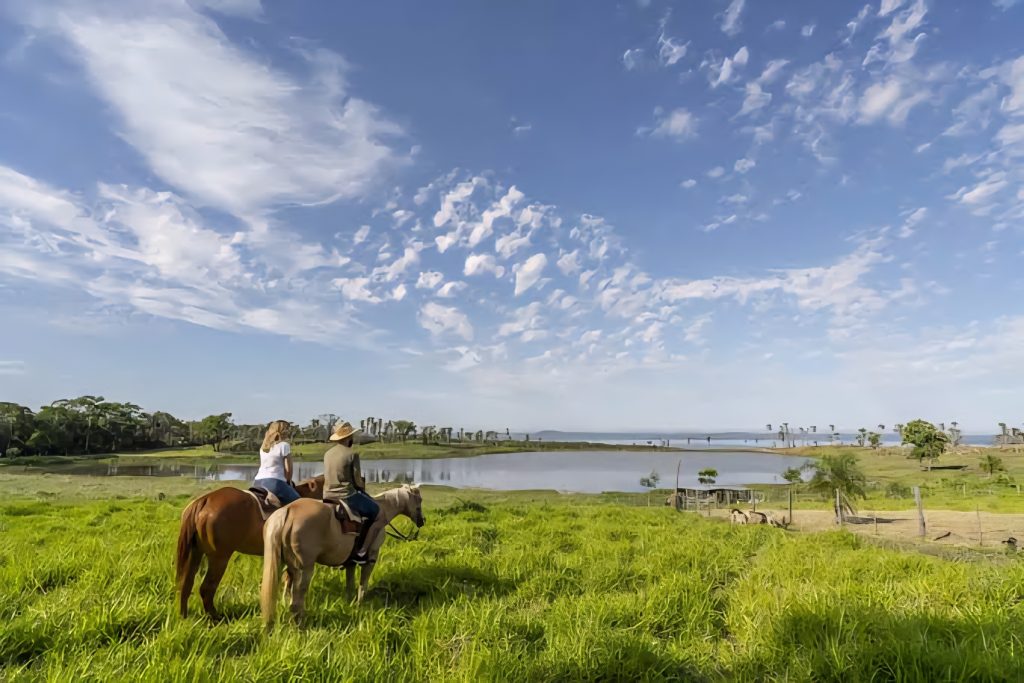 Paraguay's Tourism Sector Records Historic Growth in 2025 As Domestic ...