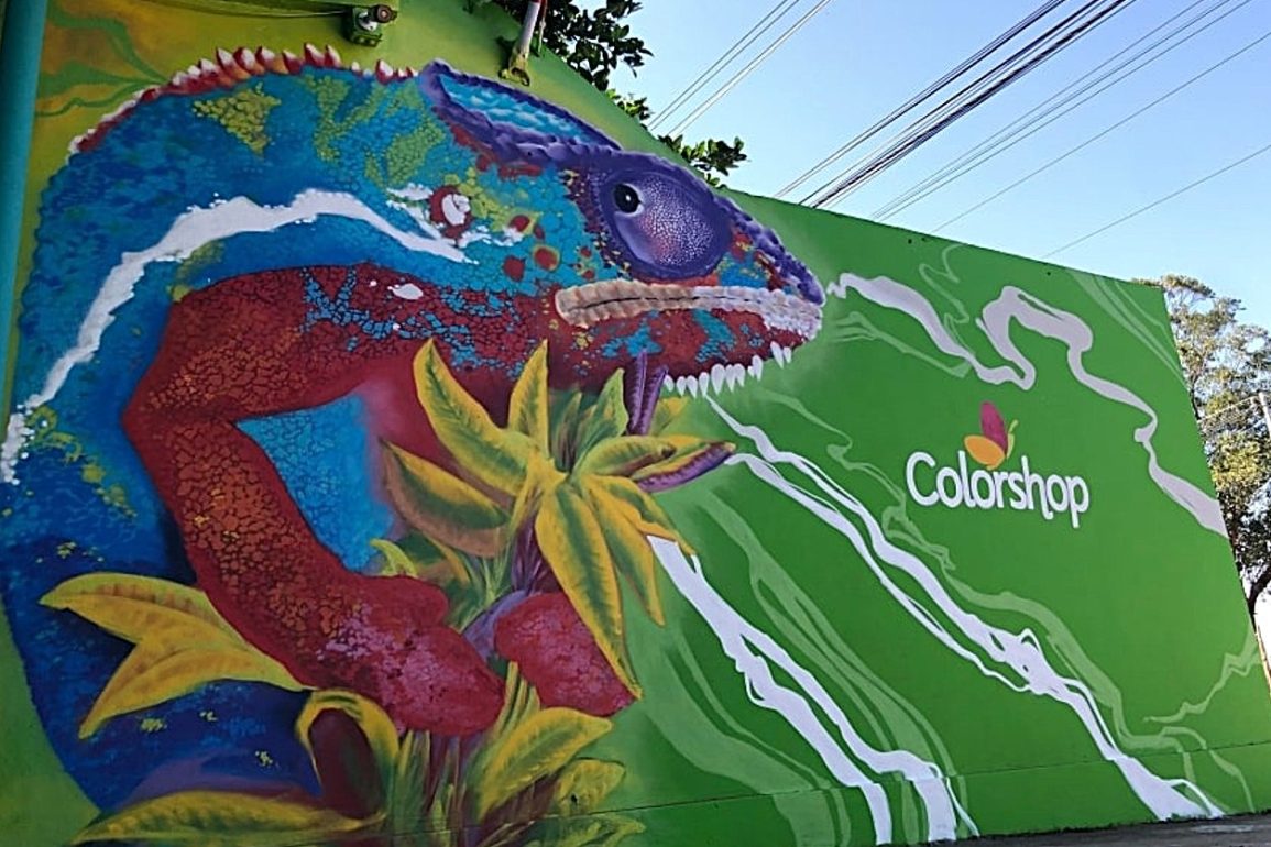 Paraguay, South America's First Republic, Celebrates 213 Years of ...