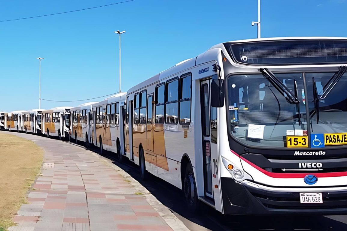 12 Amazing Things to Do in Asunción, Paraguay (By Expats)