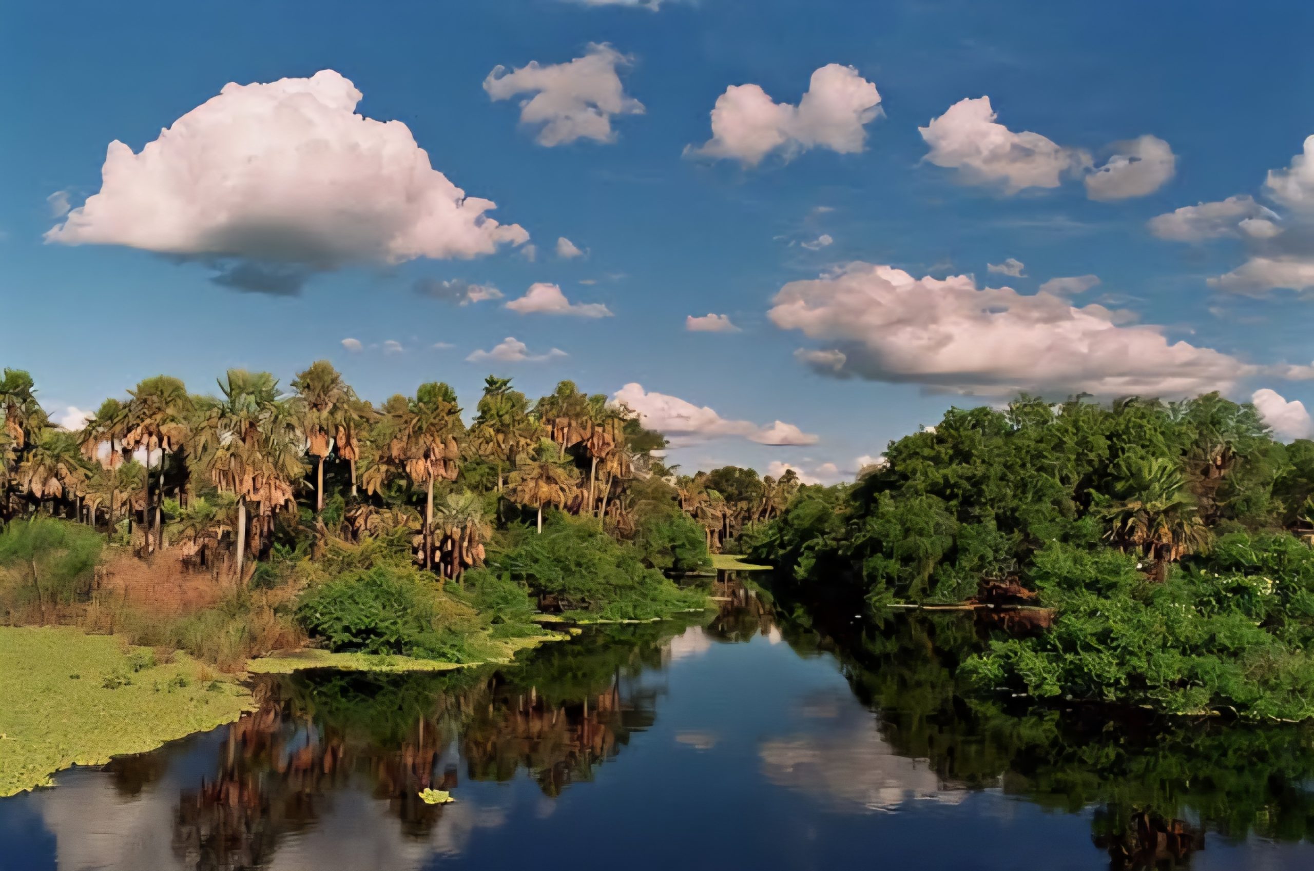 Scientific Tourism In Paraguay: A Living Laboratory For Discovery