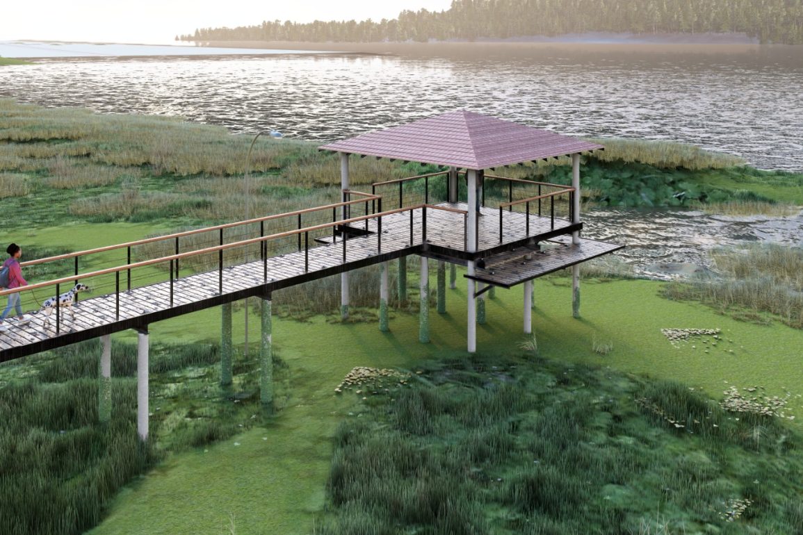 Lapacho, Paraguay’s National Tree: The Winter Bloom That Colours A Nation