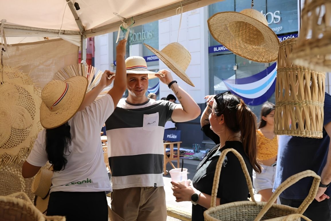 Lapacho, Paraguay’s National Tree: The Winter Bloom That Colours A Nation