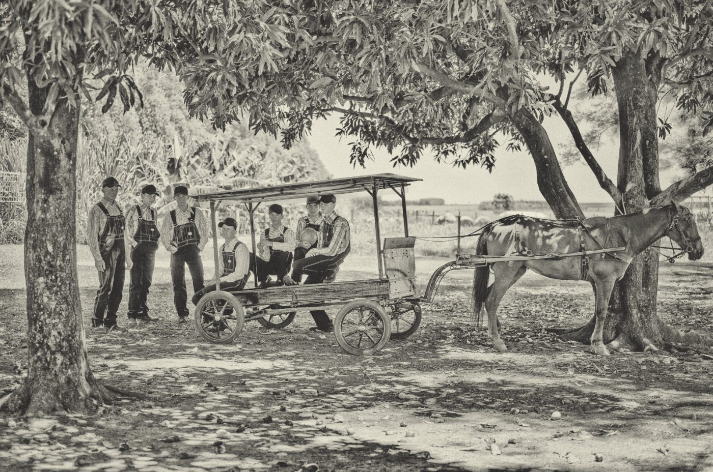 Dutch Lens On Paraguay's Communities: Henk Bleeker And His Mennonite ...